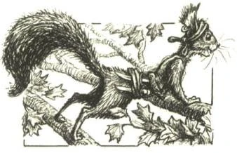 Rangval the Rogue | Redwall Wiki | Brian Jacques and Redwall ...