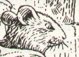 Brinty | Redwall Wiki | Brian Jacques and Redwall Information | Fandom