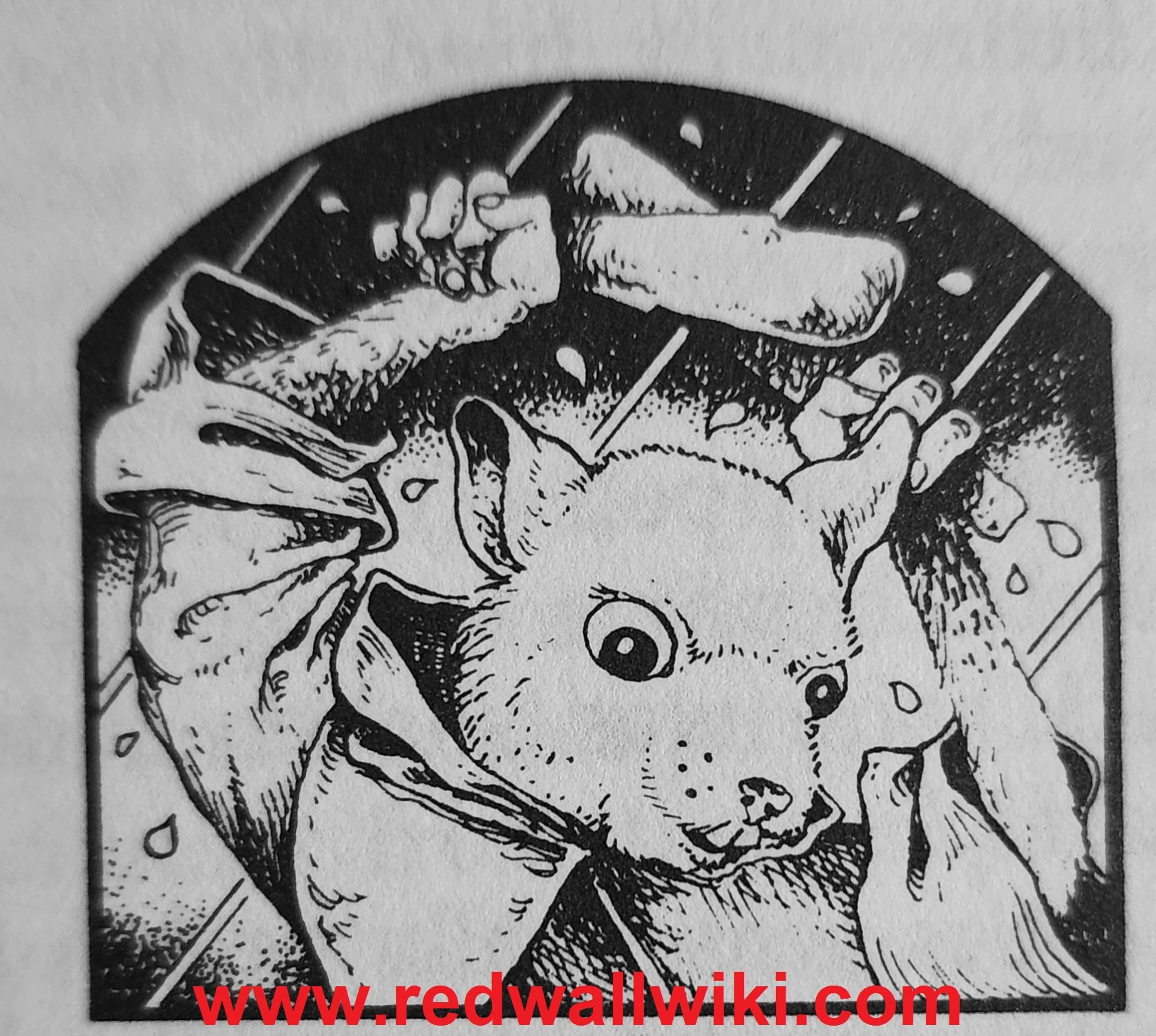 Dandin | Redwall Wiki | Brian Jacques and Redwall Information | Fandom