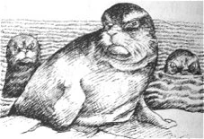 Hawm | Redwall Wiki | Brian Jacques and Redwall Information | Fandom