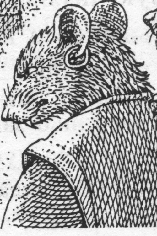 Ripfang (Lord Brocktree) | Redwall Wiki | Brian Jacques and Redwall ...
