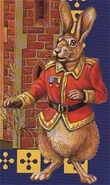 Basil Stag Hare | Redwall Wiki | Brian Jacques and Redwall Information ...