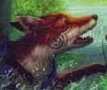 Felch | Redwall Wiki | Brian Jacques and Redwall Information | Fandom