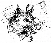 Sholabar | Redwall Wiki | Brian Jacques and Redwall Information | Fandom