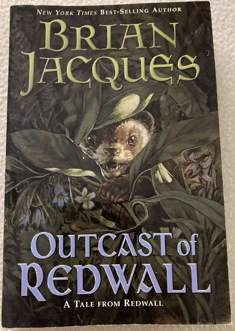Outcast of Redwall | Redwall Wiki | Brian Jacques and Redwall ...