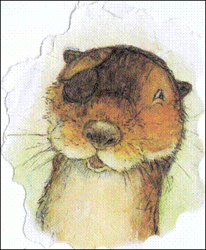 Skipper (Great Redwall Feast) | Redwall Wiki | Brian Jacques and ...