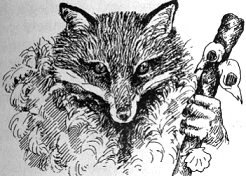 Nightshade | Redwall Wiki | Brian Jacques and Redwall Information | Fandom
