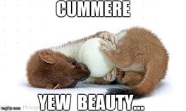 Meme Gallery | Redwall Wars Wiki | Fandom