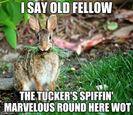 Meme Gallery | Redwall Wars Wiki | Fandom