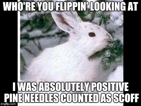 Meme Gallery | Redwall Wars Wiki | Fandom