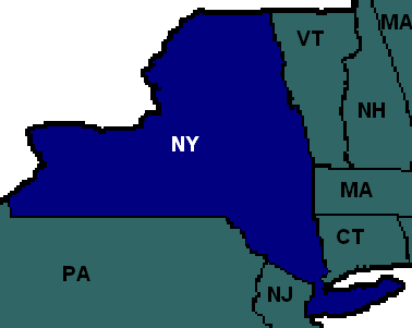 New York | Under Red, White, and Blue Wiki | Fandom