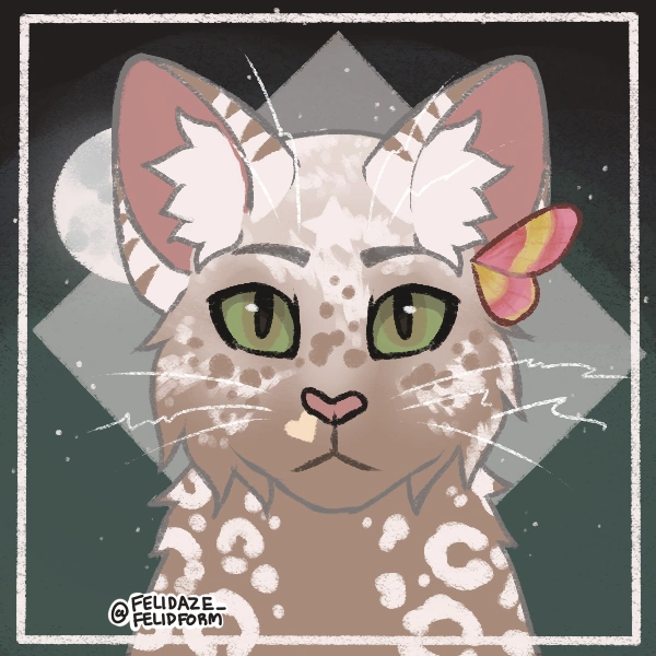 Fernheart | RedWoods (Warrior Cats) Wiki | Fandom