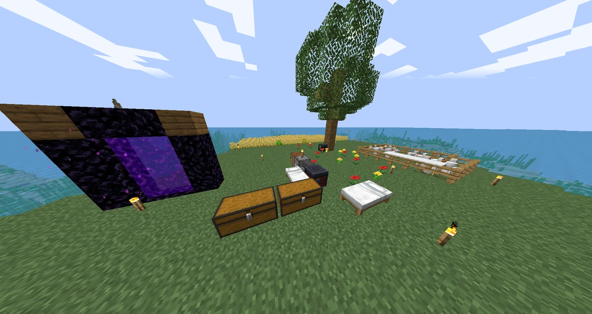 Chicken farm/Nether Portal | Reeds Smp Wiki | Fandom