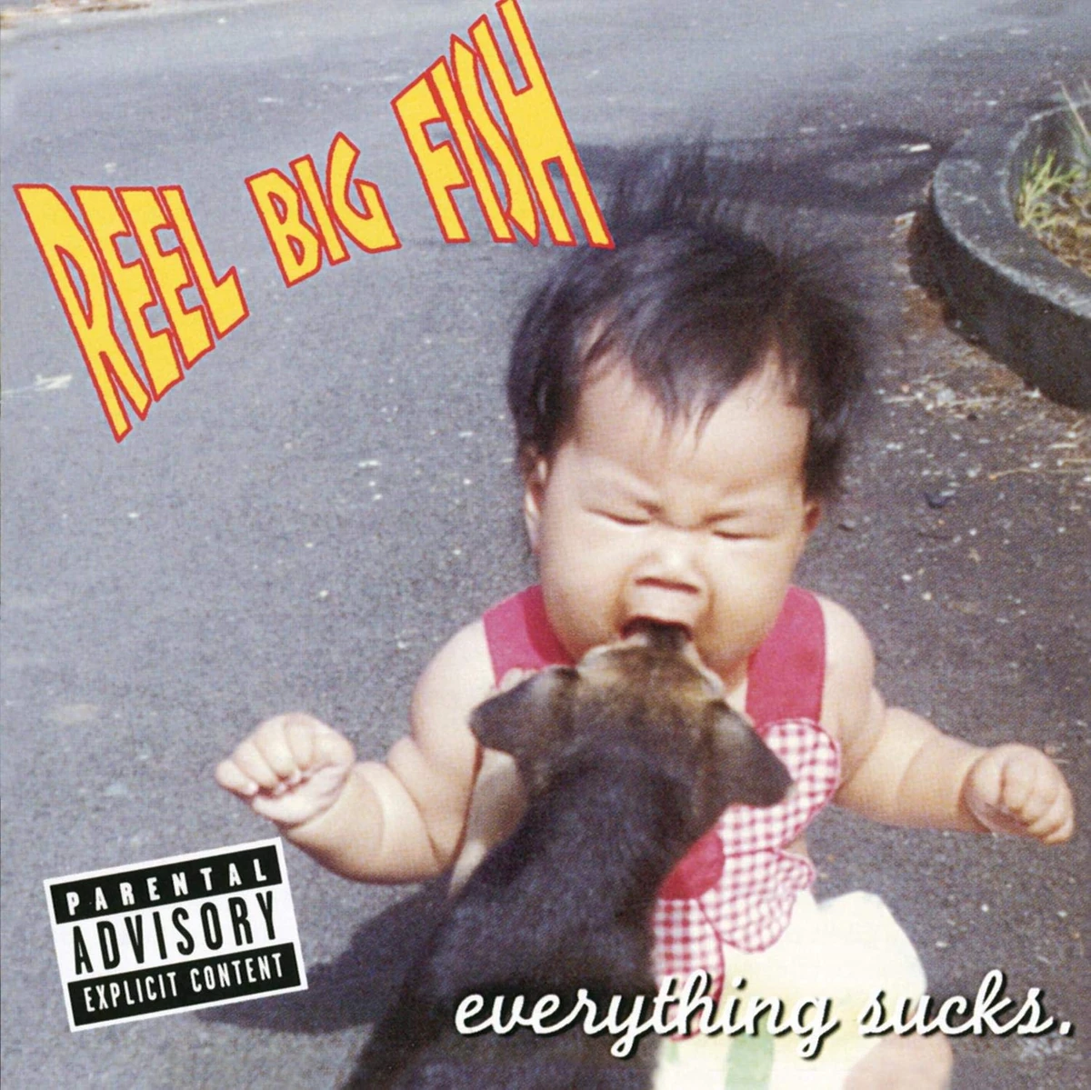 Everything Sucks - (Album) | Reel Big Fish Wiki | Fandom