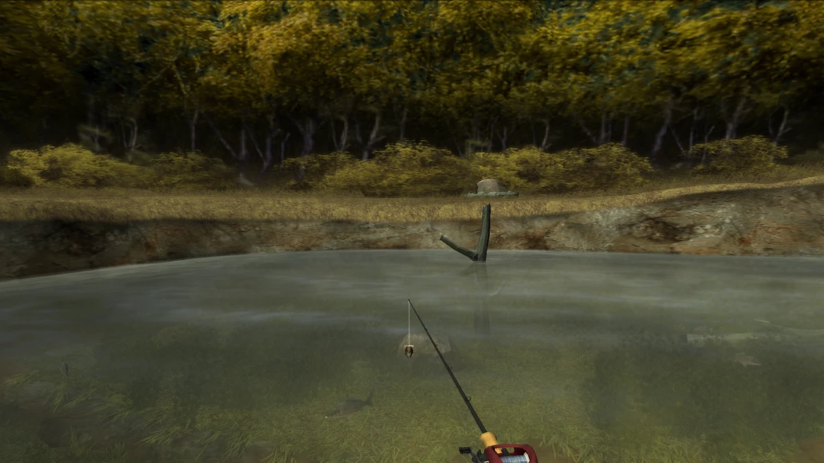 Shallows | Reel Fishing Wiki | Fandom