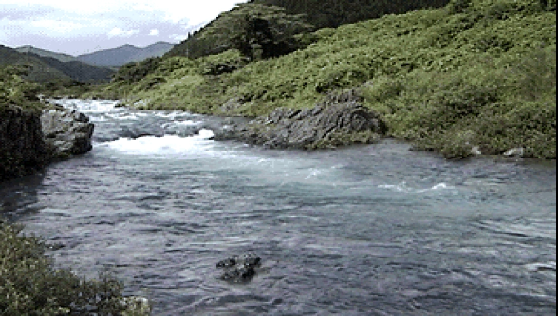 Amago Trout Fishing | Reel Fishing Wiki | Fandom