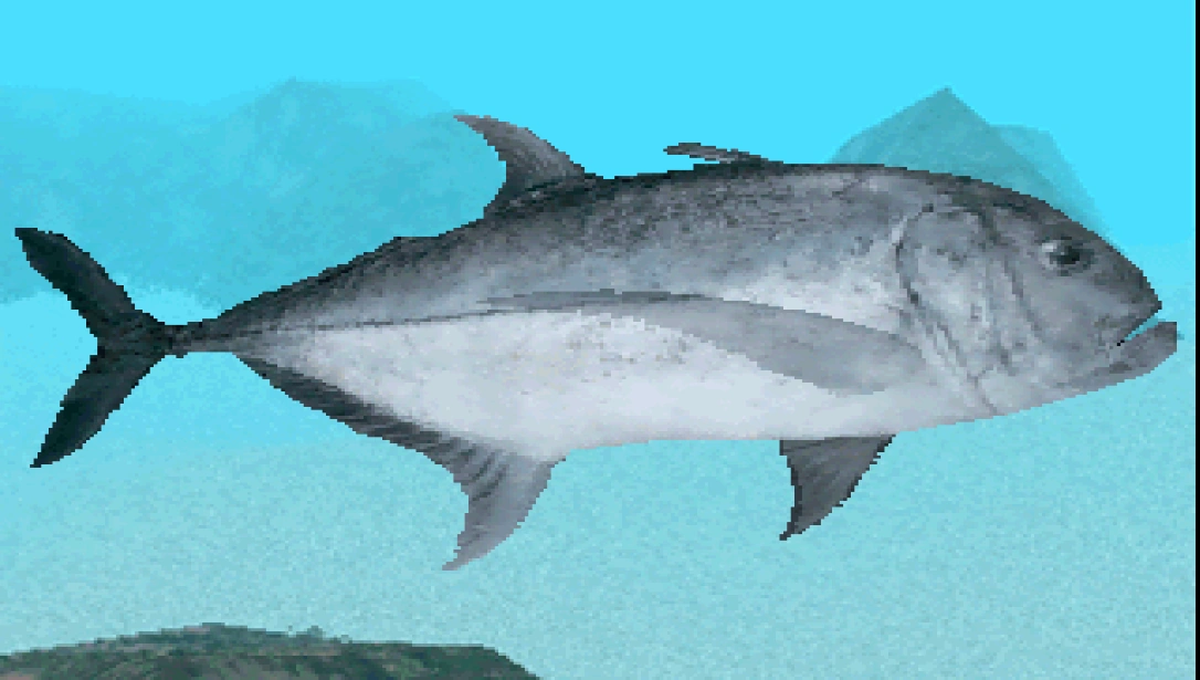 Giant Trevally | Reel Fishing Wiki | Fandom