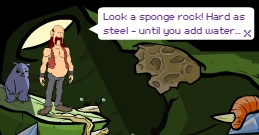 Sponge rock | The Several Journeys of Reemus Wiki | Fandom