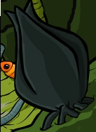 Eye Plant | The Several Journeys of Reemus Wiki | Fandom