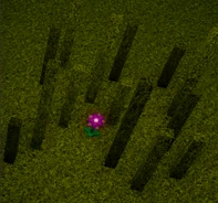 Zan Flower | Refinery Caves Wiki | Fandom