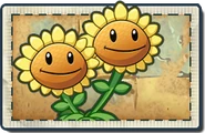 Twin Sunflower | Plants vs. Zombies: Reflourished Wiki | Fandom
