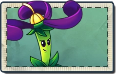 Nightshade | Plants vs. Zombies: Reflourished Wiki | Fandom
