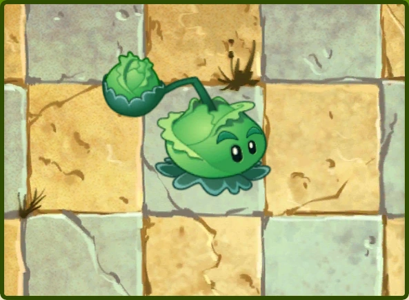 Cabbage-pult | Plants vs. Zombies: Reflourished Wiki | Fandom