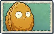 Wall-nut | Plants vs. Zombies: Reflourished Wiki | Fandom