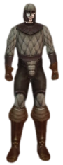 Light Armor | Reforged Wiki | Fandom