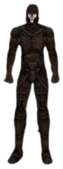 Light Armor | Reforged Wiki | Fandom