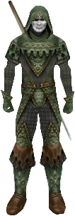 Ranger | Reforged Wiki | Fandom