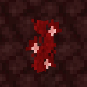 Nether Mushroom Forest | Refreshed Nether Wiki | Fandom