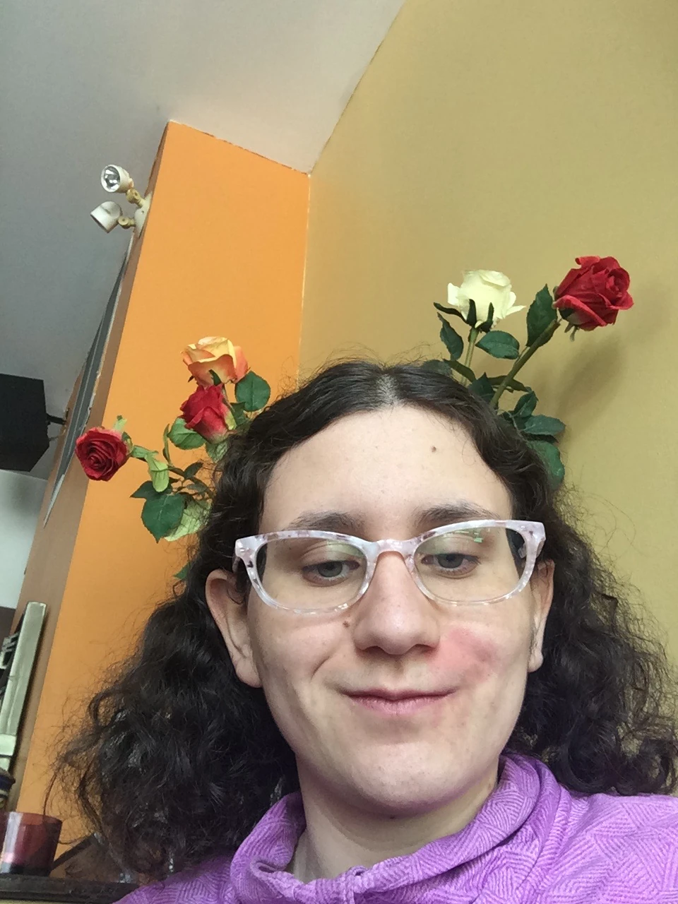 Season 3 | Regal Academy Encyclopedia | Fandom