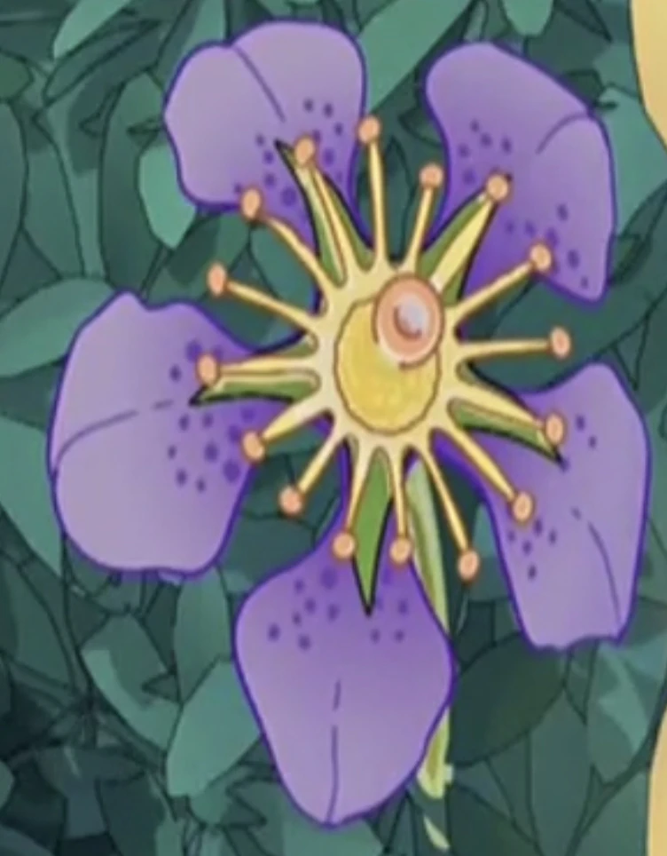 Purple Stink Lily | Regal Academy Encyclopedia | Fandom