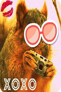 Gossip Squirrel | Reges Wiki | Fandom