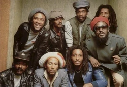 The Wailers | Reggae Wiki | Fandom