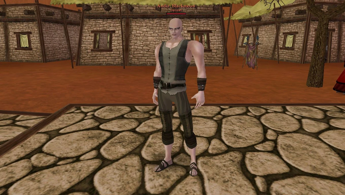 Andiz Blackmoon | Regnum Online Wiki | Fandom