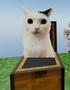 Jermbo | Regretevator Wiki | Fandom