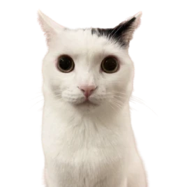 Jermbo | Regretevator Wiki | Fandom