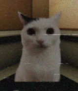 Jermbo | Regretevator Wiki | Fandom