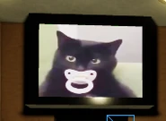 Elevator Events | Regretevator Wiki | Fandom