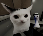 Jermbo | Regretevator Wiki | Fandom