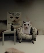 Jermbo | Regretevator Wiki | Fandom