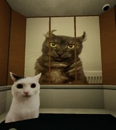 Jermbo | Regretevator Wiki | Fandom