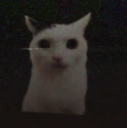 Jermbo | Regretevator Wiki | Fandom