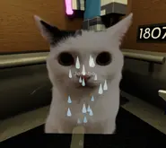 Jermbo | Regretevator Wiki | Fandom