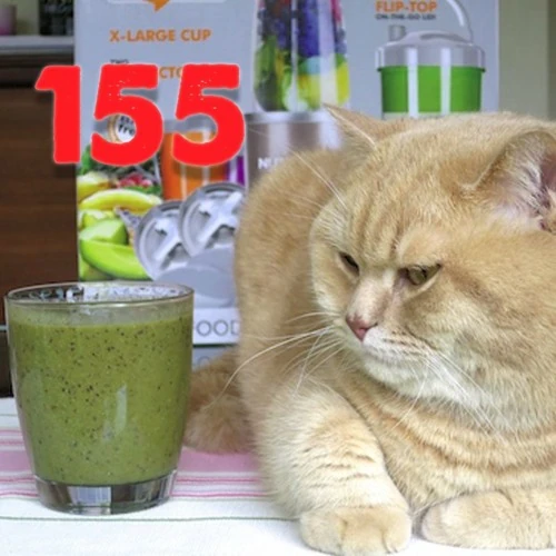 155: Veggie Blasted Stranger Shit | Regular Features Wiki | Fandom