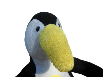 Paz the Penguin | Regular Show Fanon Wiki | Fandom