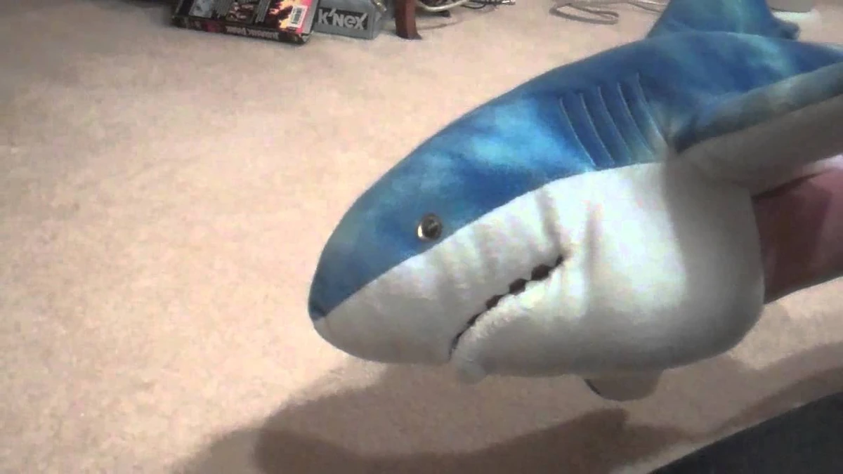 Shark Butt | Regular Show Fanon Wiki | Fandom