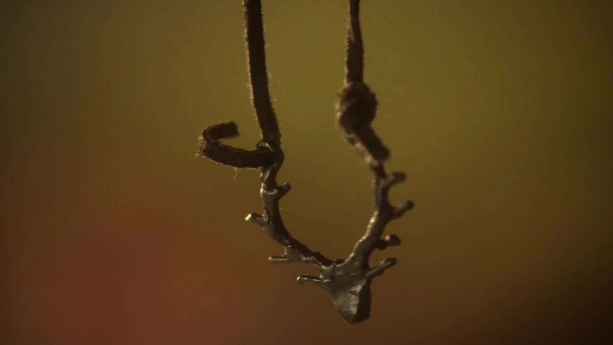Pagan Necklace | Reign CW Wiki | Fandom